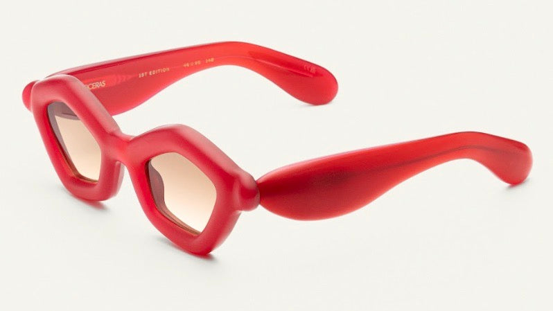 Paloceras Pebble Dx - Velvet Split | Eyeglasses | Black Optical